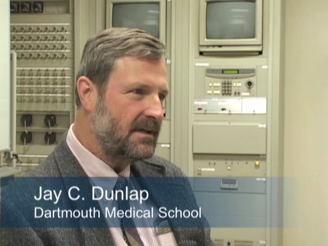 Video History Collection